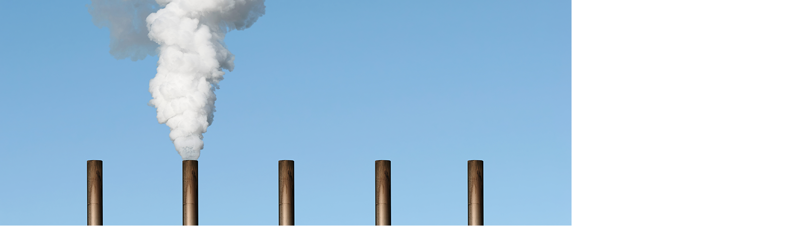 The Path to Carbon Reduction | Neuberger Berman