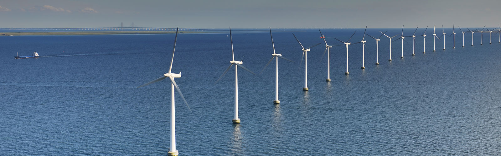 The Wind In Its Sails | Neuberger Berman