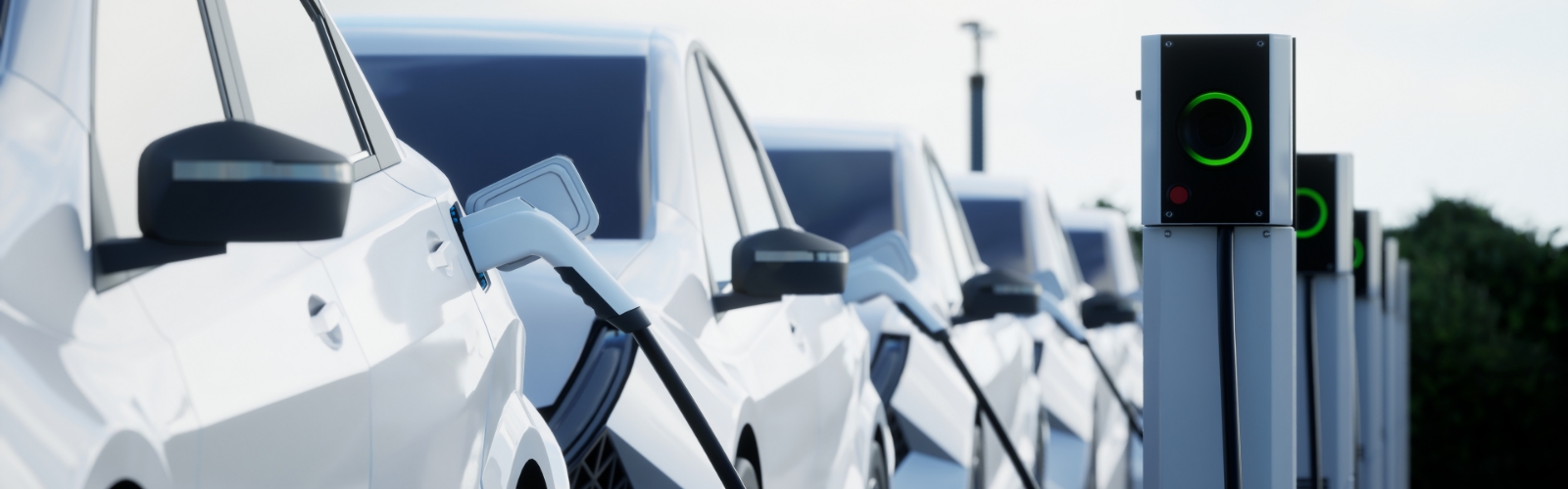 China's Lead in the Electric Vehicles Race | Neuberger Berman